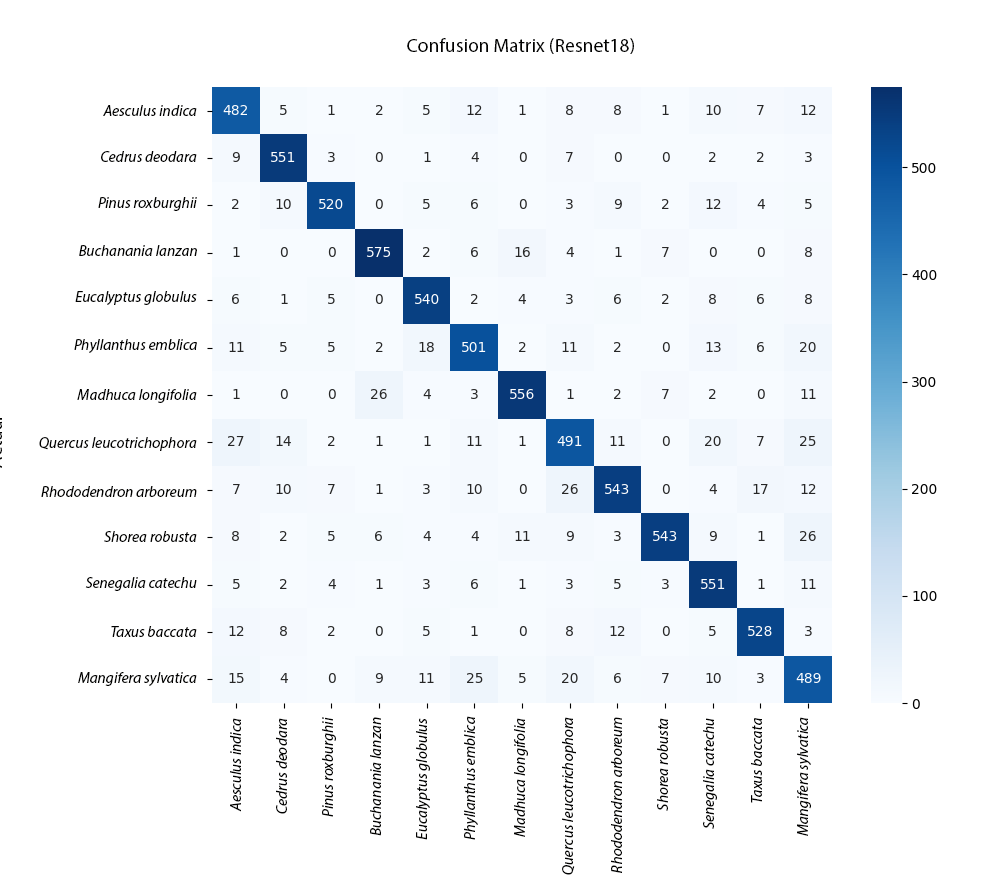 GitHub - Forest-Economy-Alliance/BarkVisionAI: BarkVisionAI: A dataset of 167,361 labeled tree ...